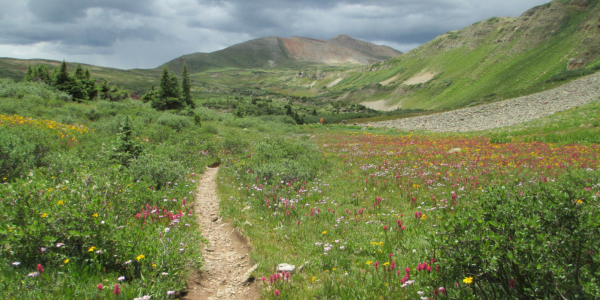 Hit the Trail with Confidence: The 10th Edition of the official ...