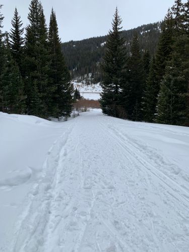 Backcountry Nordic Skiing – Bakerville - Loveland Trail — The Colorado ...