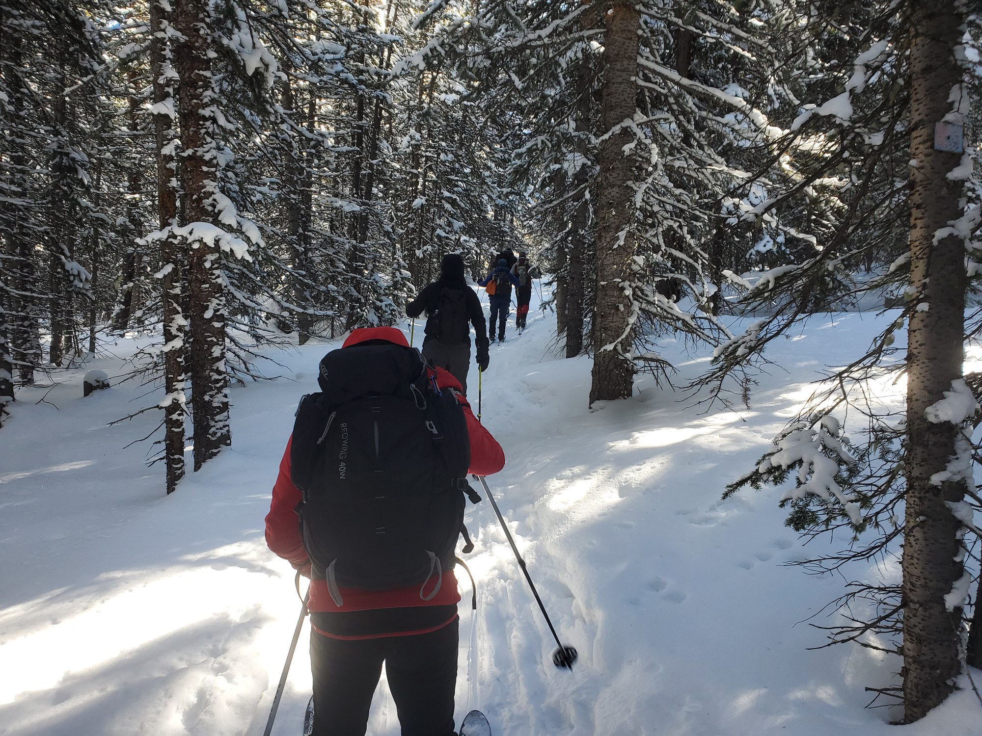Backcountry Nordic Skiing – BC Ski Packed Trail Practice — The Colorado ...
