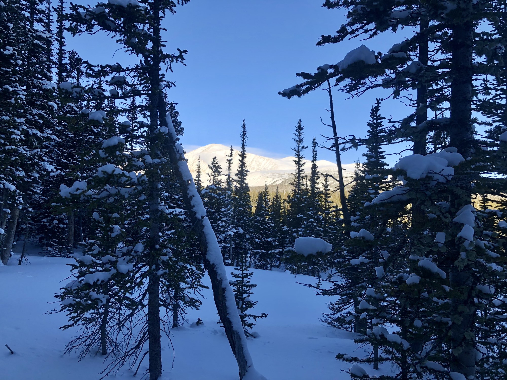 Backcountry Nordic Skiing – Brainard Lake Rec Area - Mitchell Lake TH ...