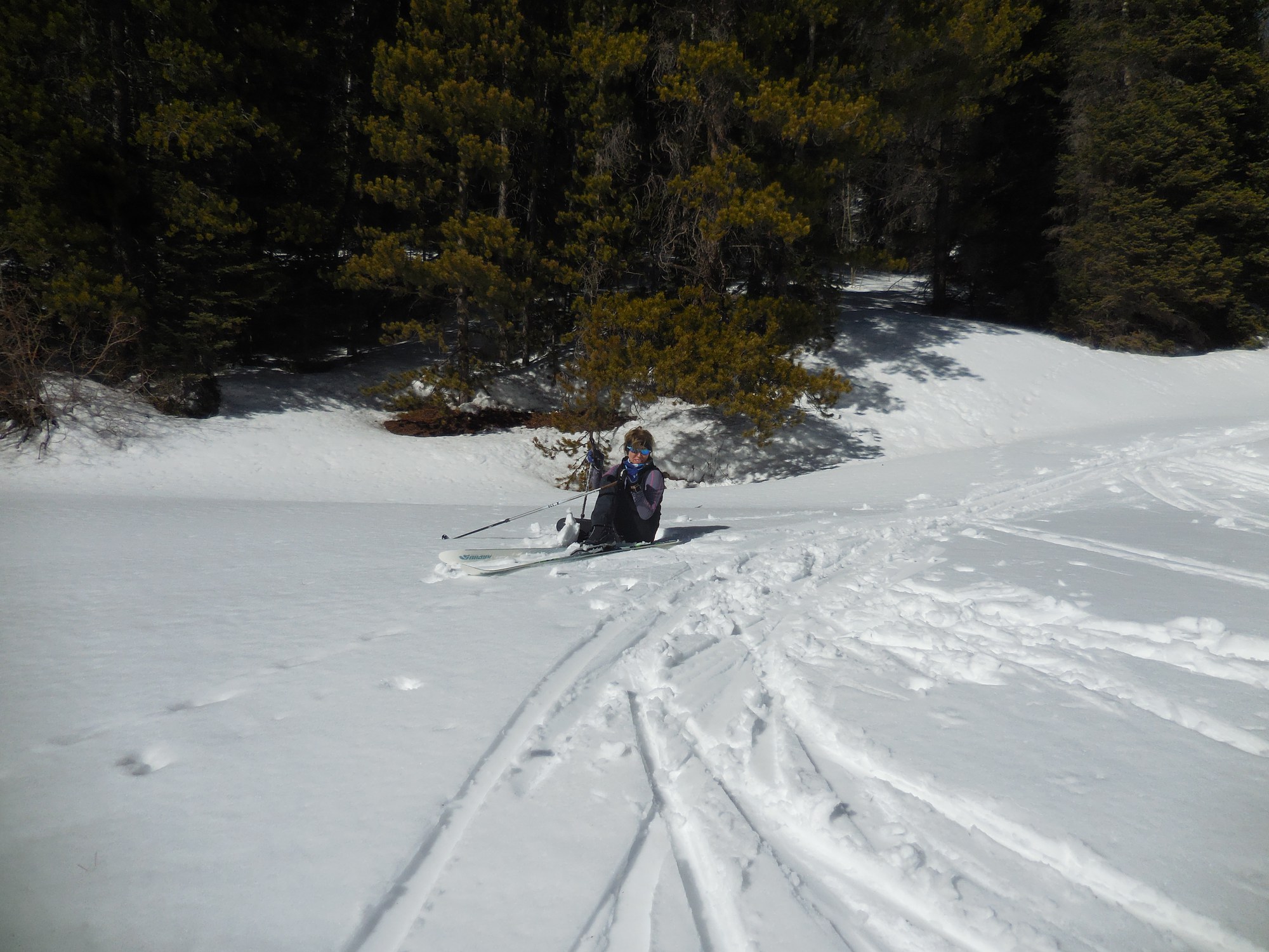 Backcountry Nordic Skiing – Crosscountry Ski Boreas Pass Rd Moderate II ...