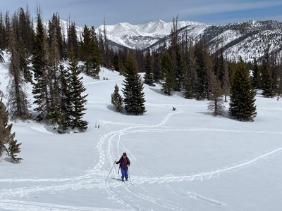 Backcountry Nordic Skiing – Old Monarch Pass — The Colorado Mountain Club