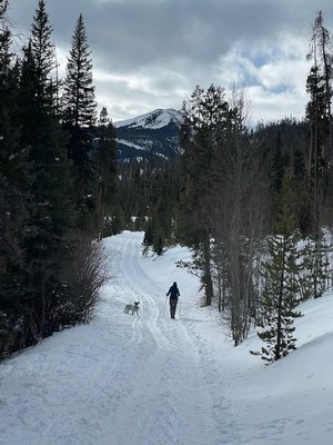 Backcountry Nordic Skiing – Rock Creek Trail — The Colorado Mountain Club