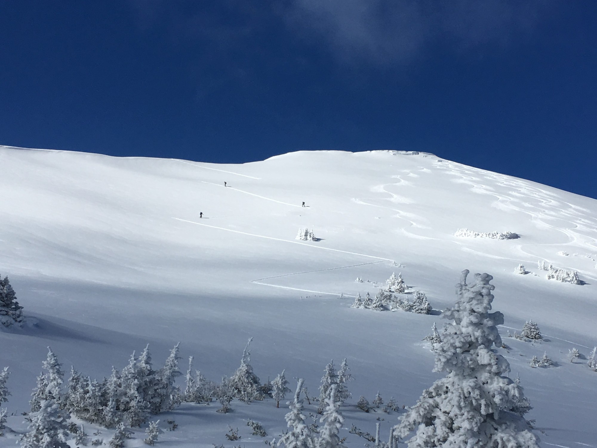 Backcountry Skiing/Splitboarding – Cameron Pass — The Colorado Mountain ...