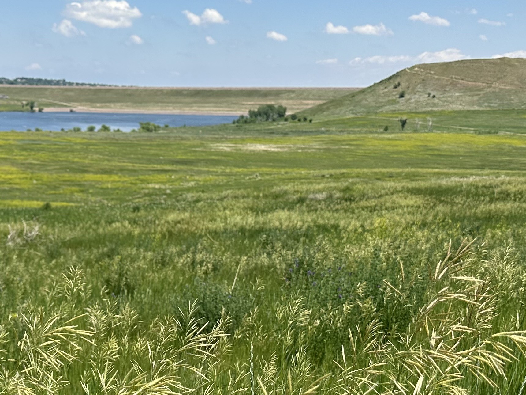 Bike – Bear Creek Trail to Bear Creek Lake Park, summiting Mount Carbon ...