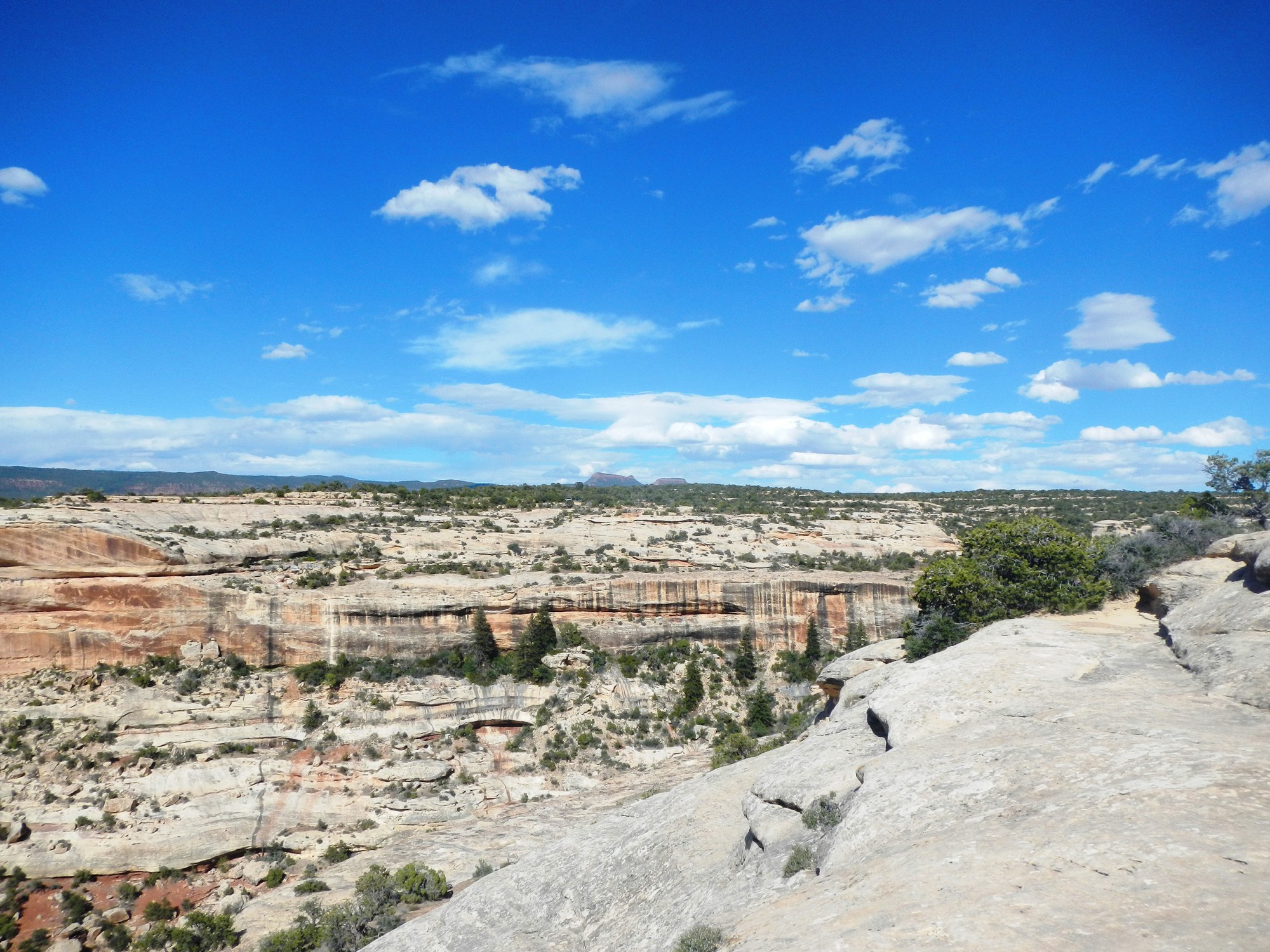 Canyoneer – Car camp and backpack in Bears Ears NM and the Manti La Sal ...