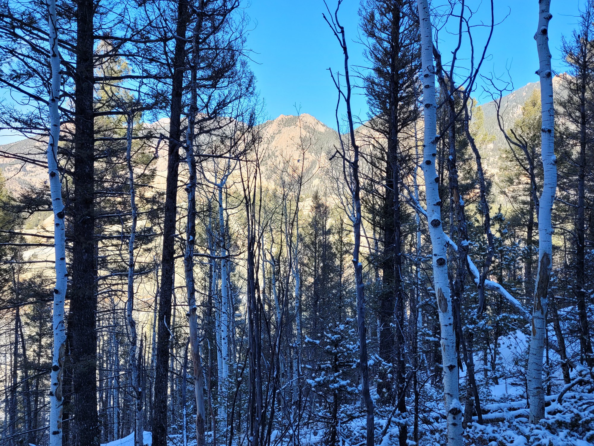 Hiking – Brookside-McCurdy Trail — The Colorado Mountain Club