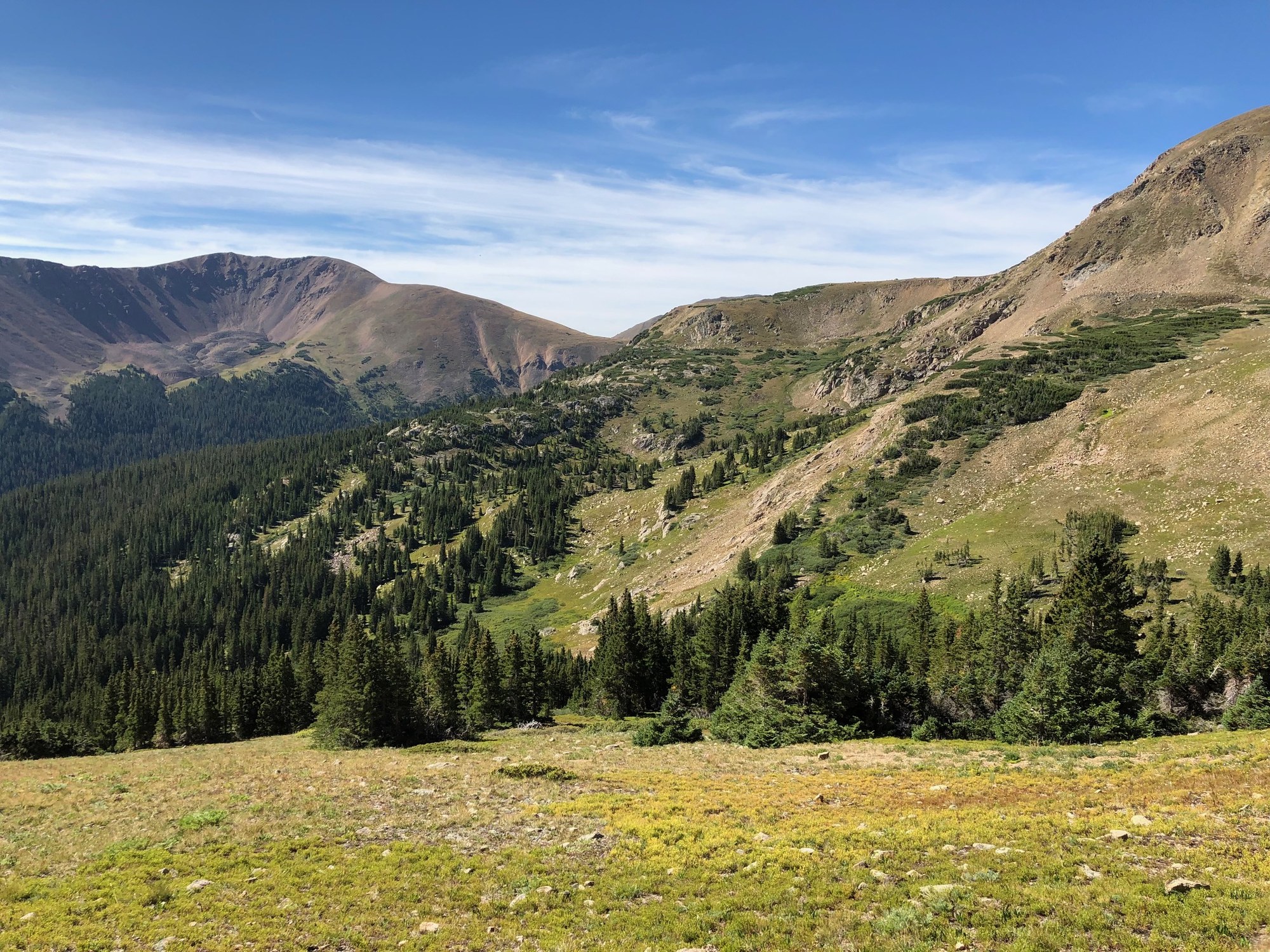 Hiking – Butler Gulch — The Colorado Mountain Club