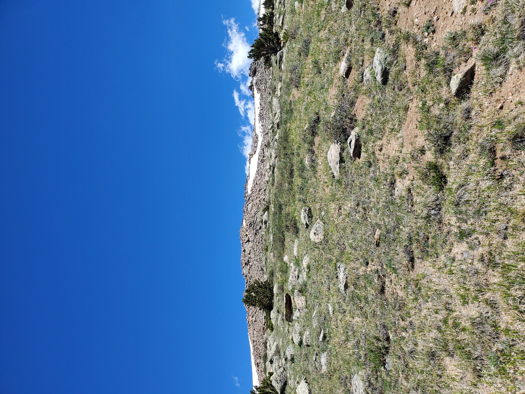 Hiking – Deer Creek TH - Pegmatite Points — The Colorado Mountain Club
