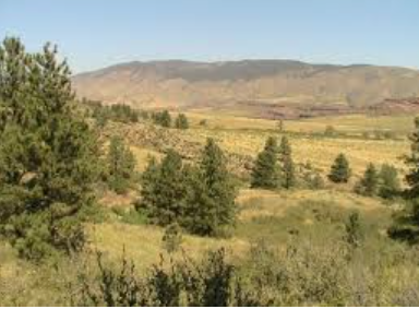 Hiking – Bobcat Ridge Natural Area — The Colorado Mountain Club
