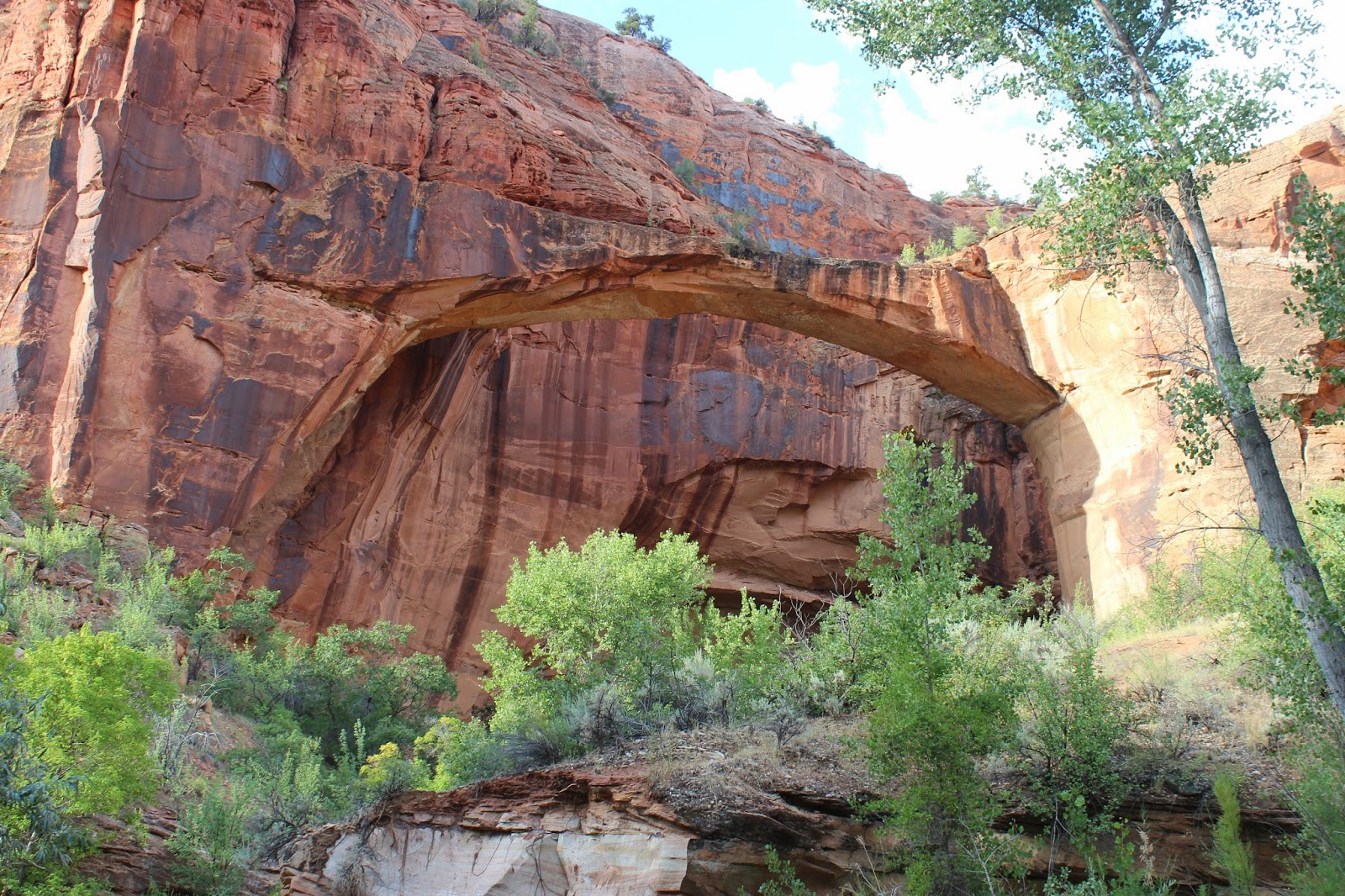 Hiking – Grand Staircase- Escalante National Monument - Escalante ...