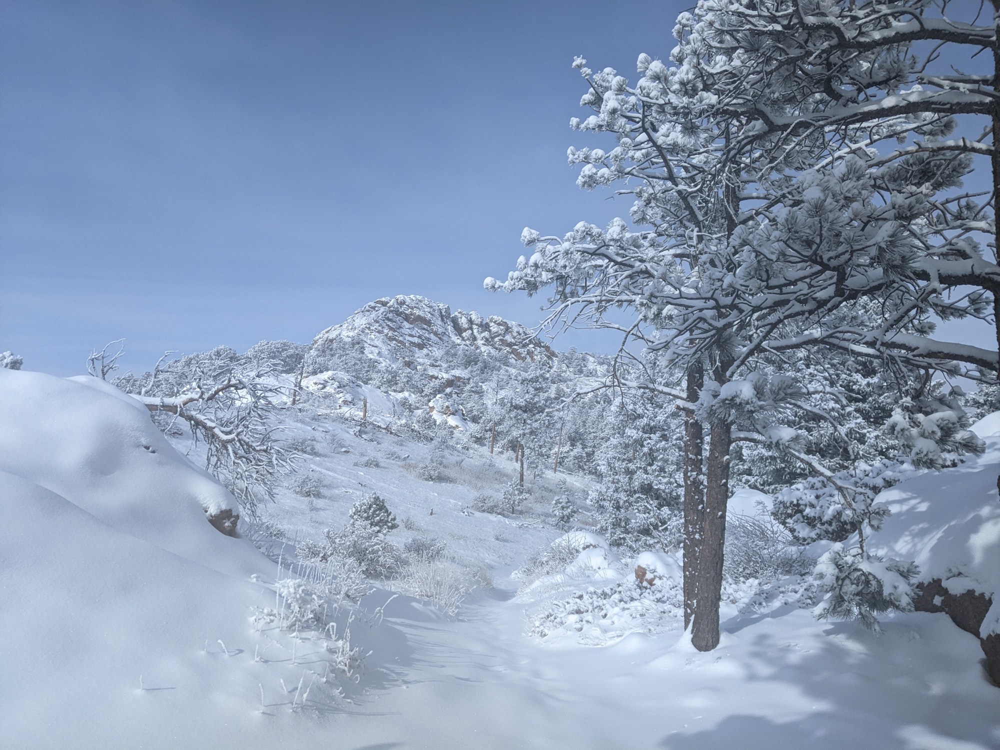 Hiking – Horsetooth Mountain Open Space — The Colorado Mountain Club