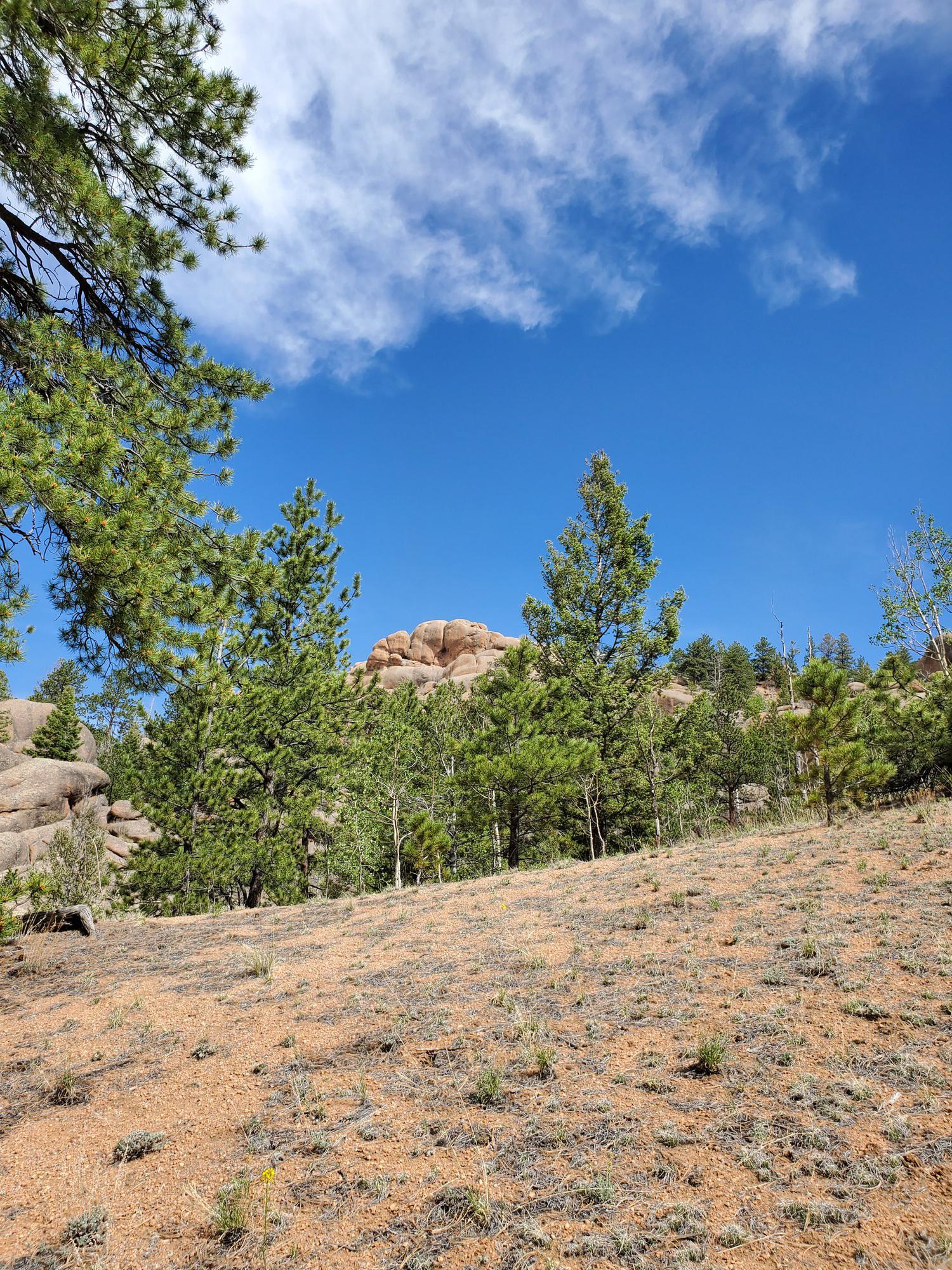 Hiking – Lizard Rock — The Colorado Mountain Club
