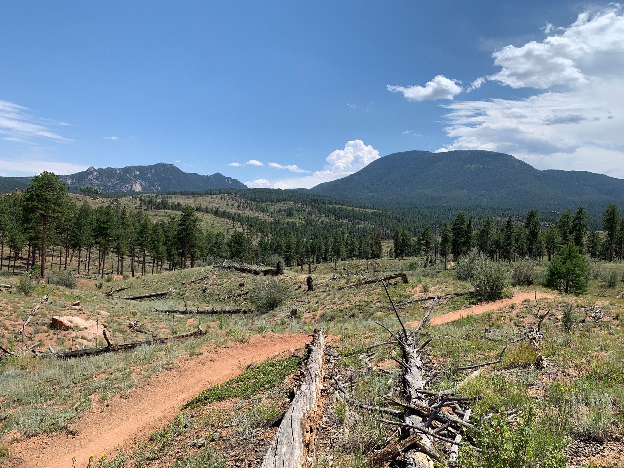 Hiking – Miller Gulch to Gashouse Gulch Loop near Bailey — The Colorado ...