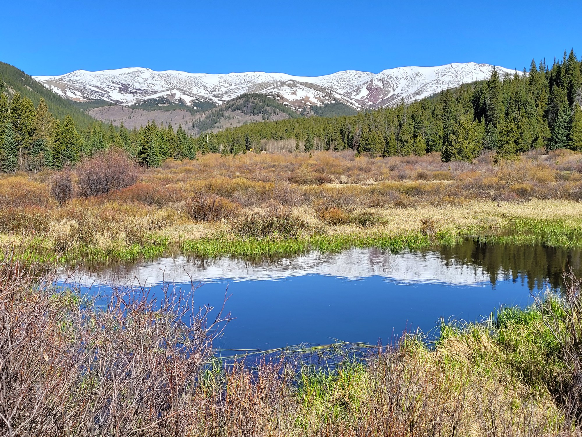 Hiking – Mt Silverheels via Tarryall Creek TH — The Colorado Mountain Club
