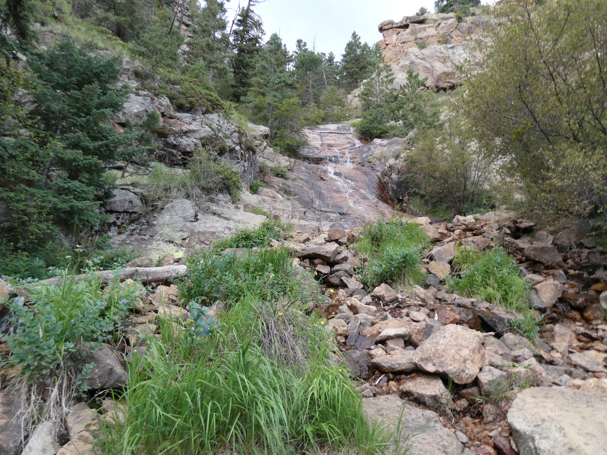 Hiking – North Cheyenne Canyon Park — The Colorado Mountain Club