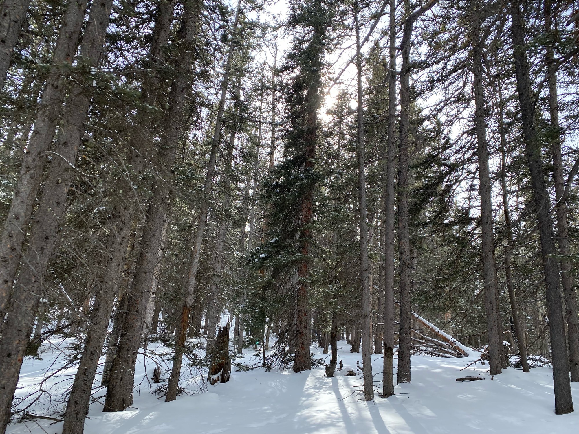 Hiking – Pancake Rocks — The Colorado Mountain Club