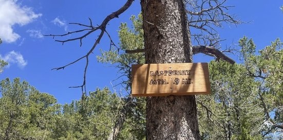 Hiking – Raspberry Mountain — The Colorado Mountain Club