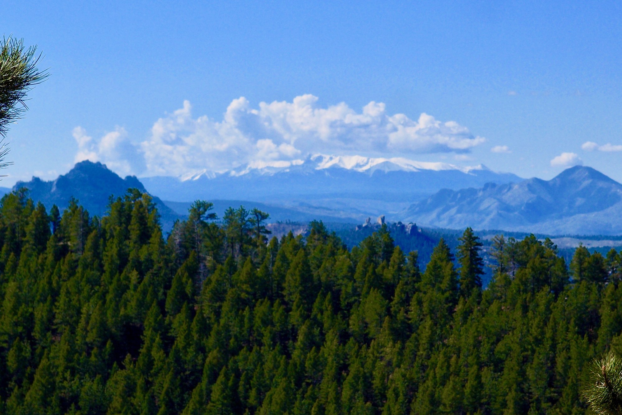 Hiking – Reynolds Park — The Colorado Mountain Club