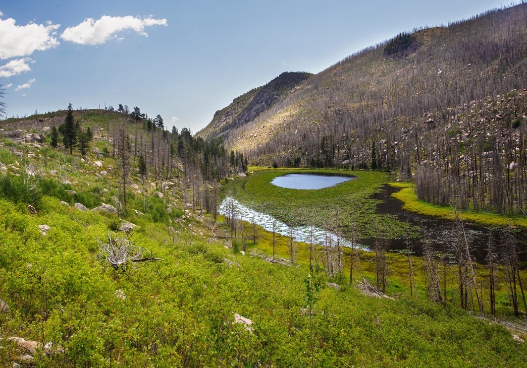 Hiking – RMNP - Cub Lake TH - Cub Lake — The Colorado Mountain Club