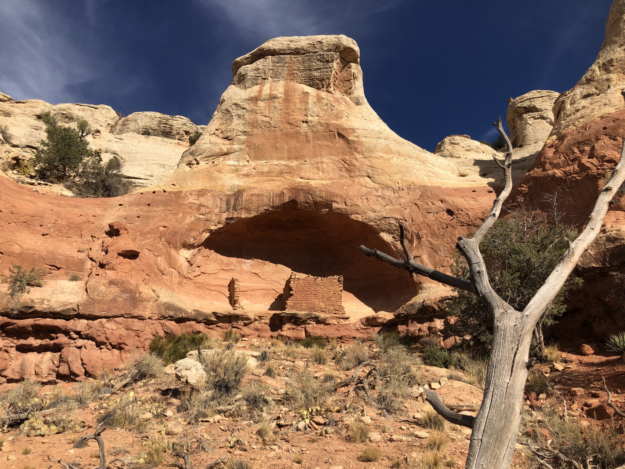 Hiking – Sand Canyon - Sand Canyon trail — The Colorado Mountain Club