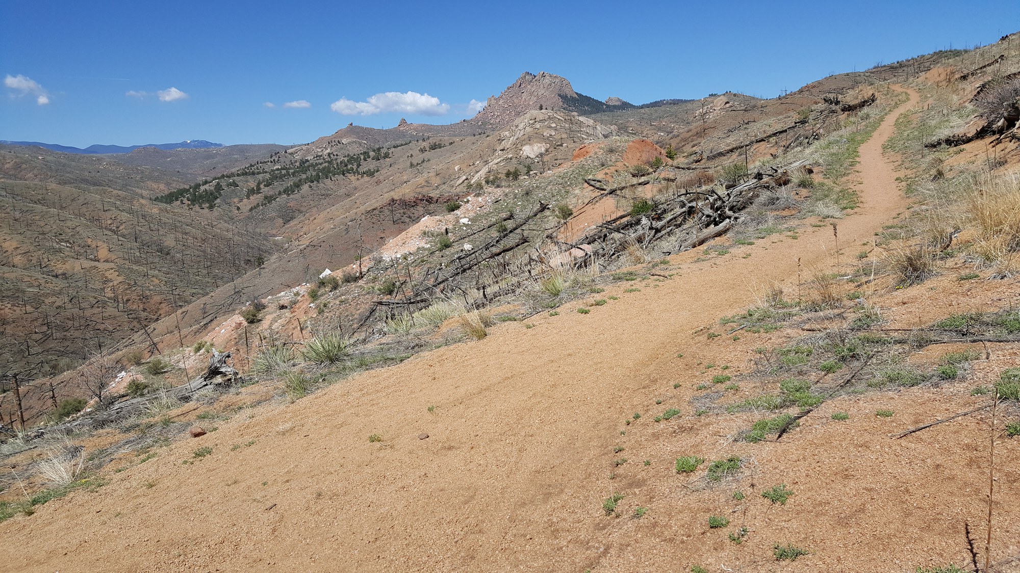 Hiking – South Platte River TH to Chair Rocks — The Colorado Mountain Club
