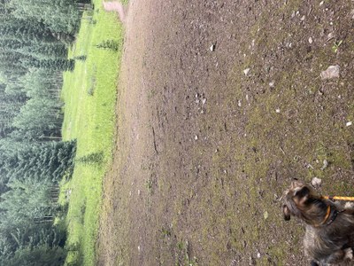 Hiking – Spencer Gulch and West Turkshead — The Colorado Mountain Club