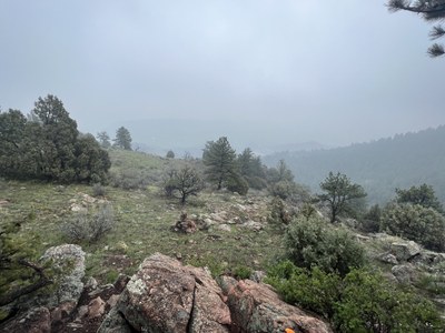 Hiking – White Ranch Park — The Colorado Mountain Club