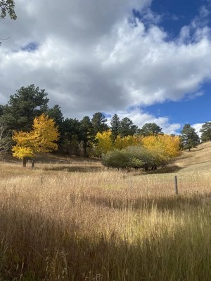 Hiking – White Ranch Park — The Colorado Mountain Club