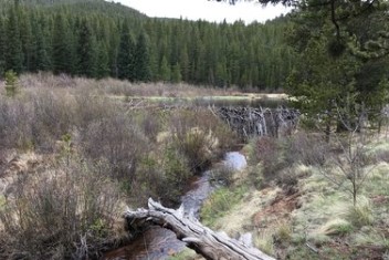 Hiking – Wigwam Trail via Wigwam Trailhead — The Colorado Mountain Club