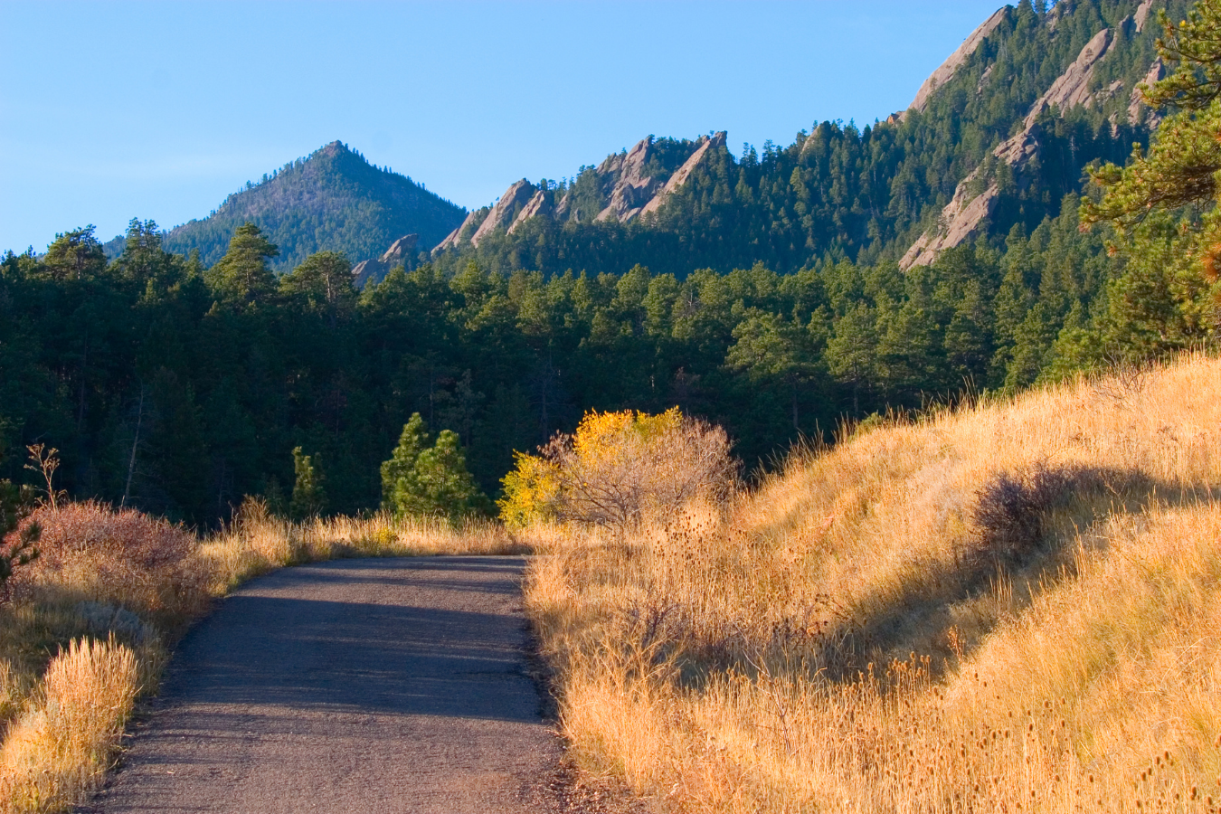 Hiking – Burning Bear Trail Thru Hike and Burning Bear Peak (12069 ...