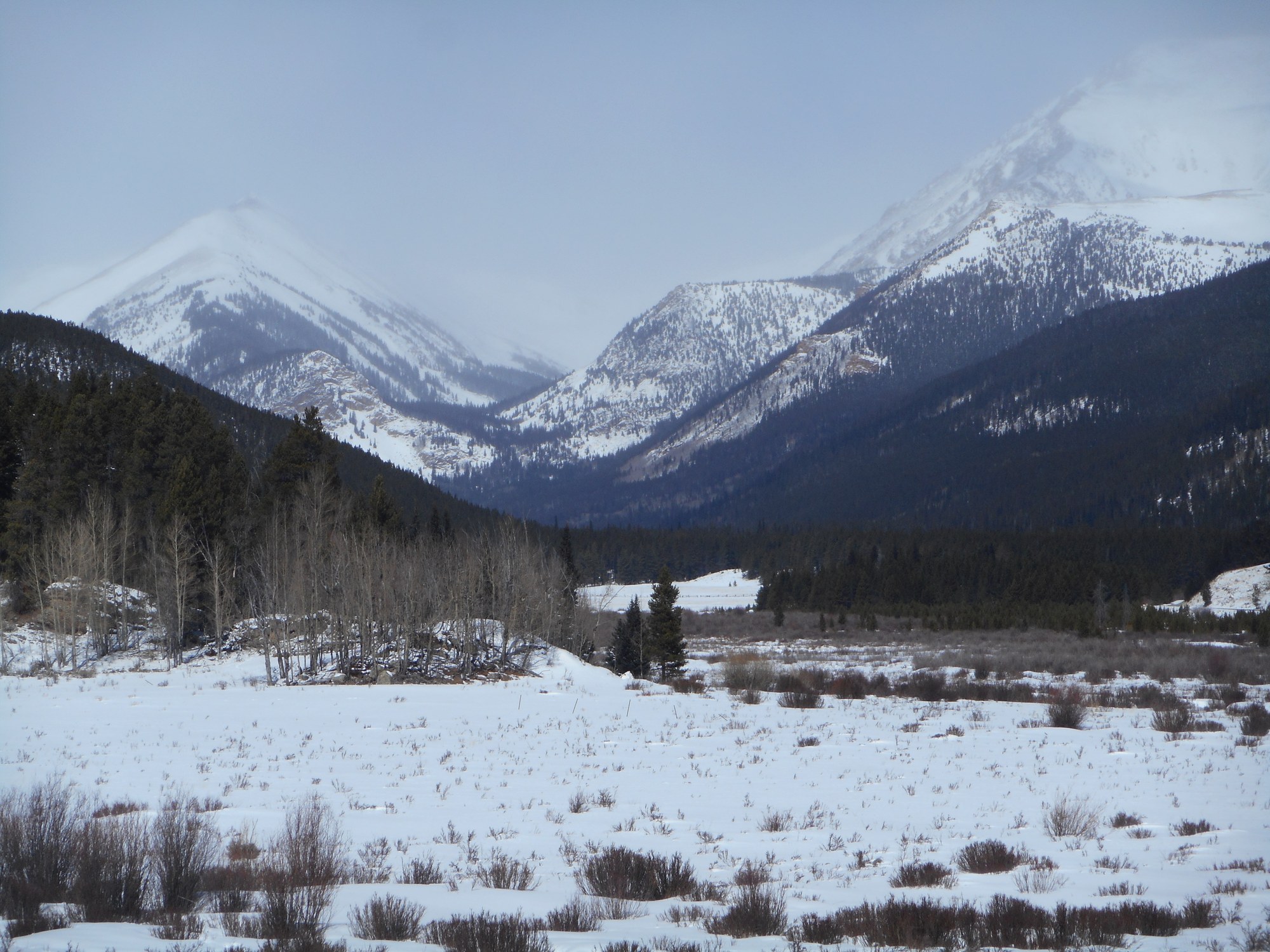 Intermediate Snowshoe – Burning Bear Trail — The Colorado Mountain Club