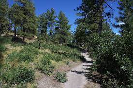 Leader in Training (LIT) Hike – LIT hike for Karen Guerra at Dawson ...