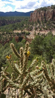 Rock Climb – Shelf Road — The Colorado Mountain Club