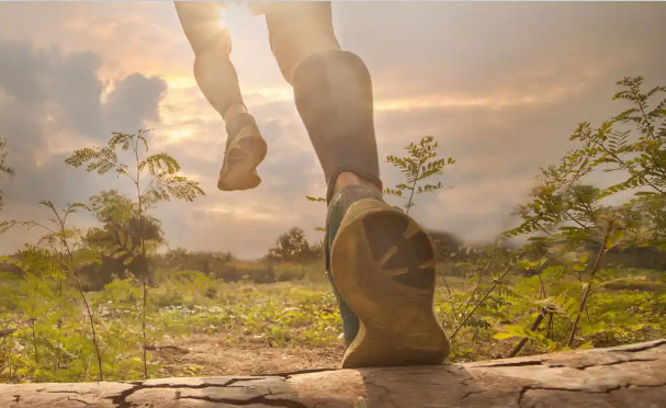 Trail Run – Palmer Park — The Colorado Mountain Club