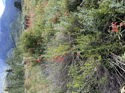 Hiking – Acorn Creek TH — The Colorado Mountain Club