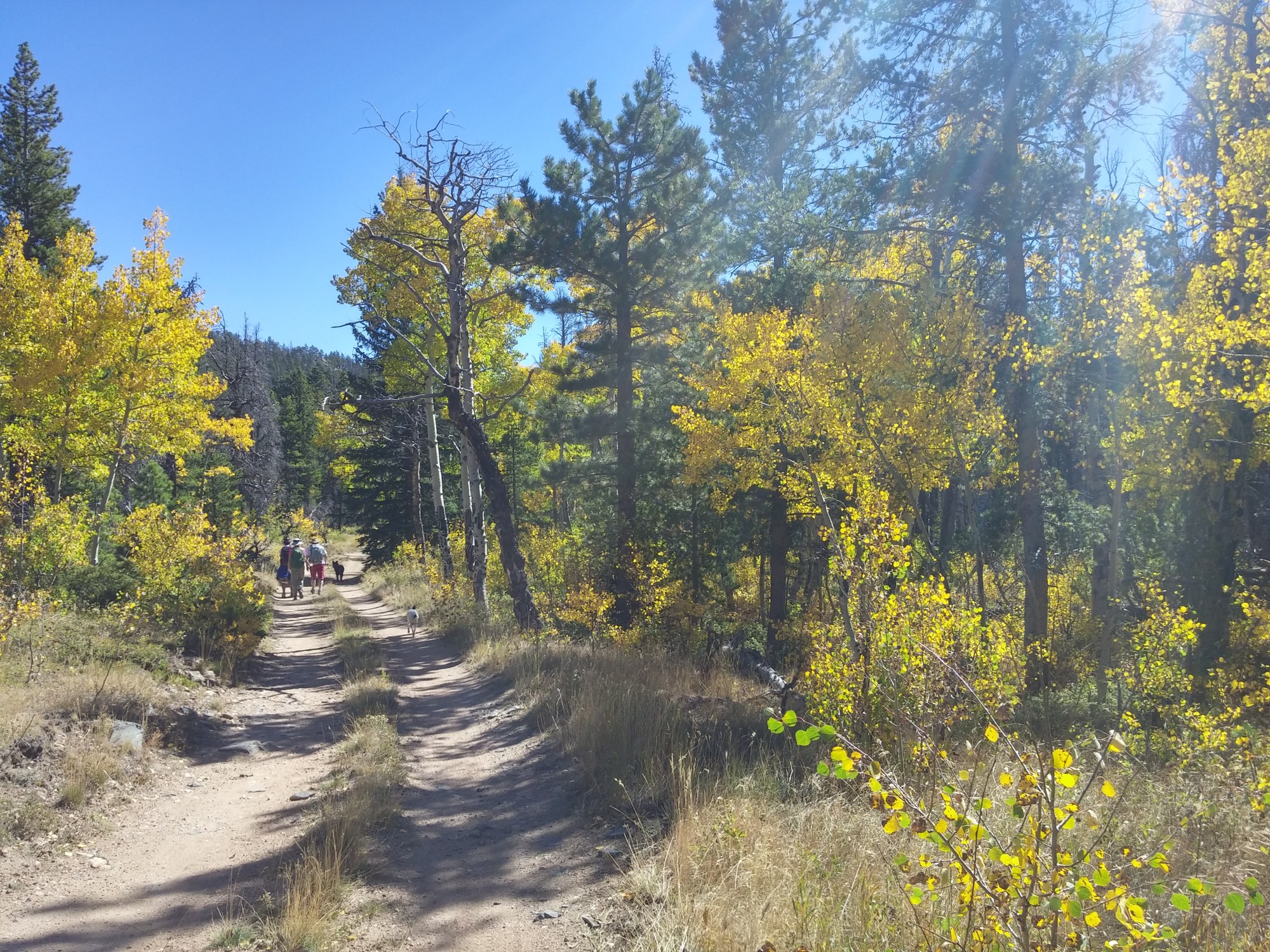 Aspenglen Loop — The Colorado Mountain Club