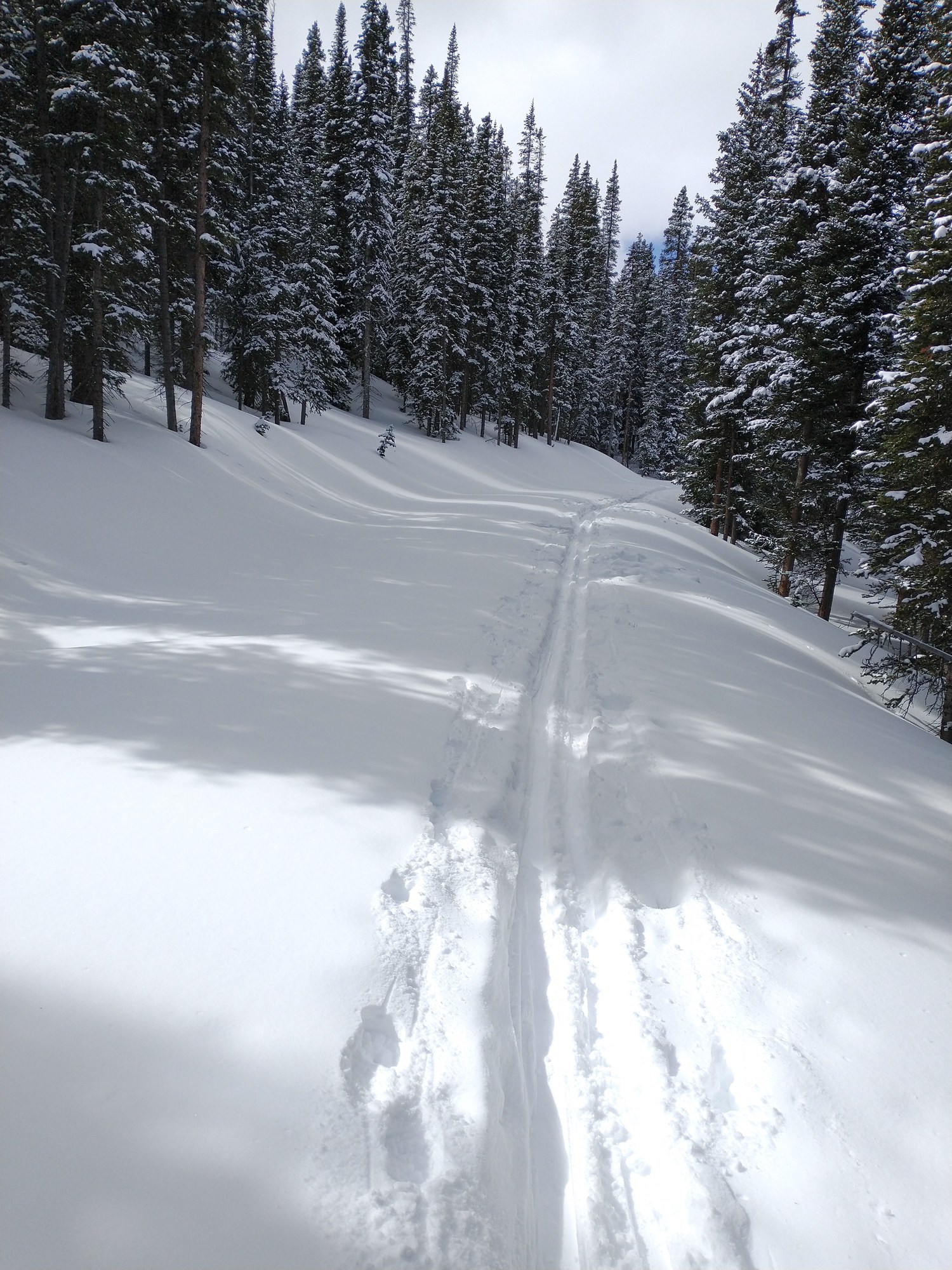 Bakerville - Loveland Trail — The Colorado Mountain Club