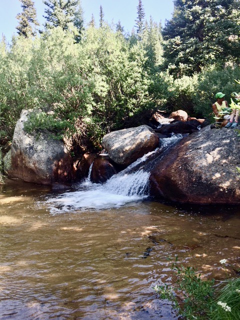 Beaver Meadows Loop — The Colorado Mountain Club