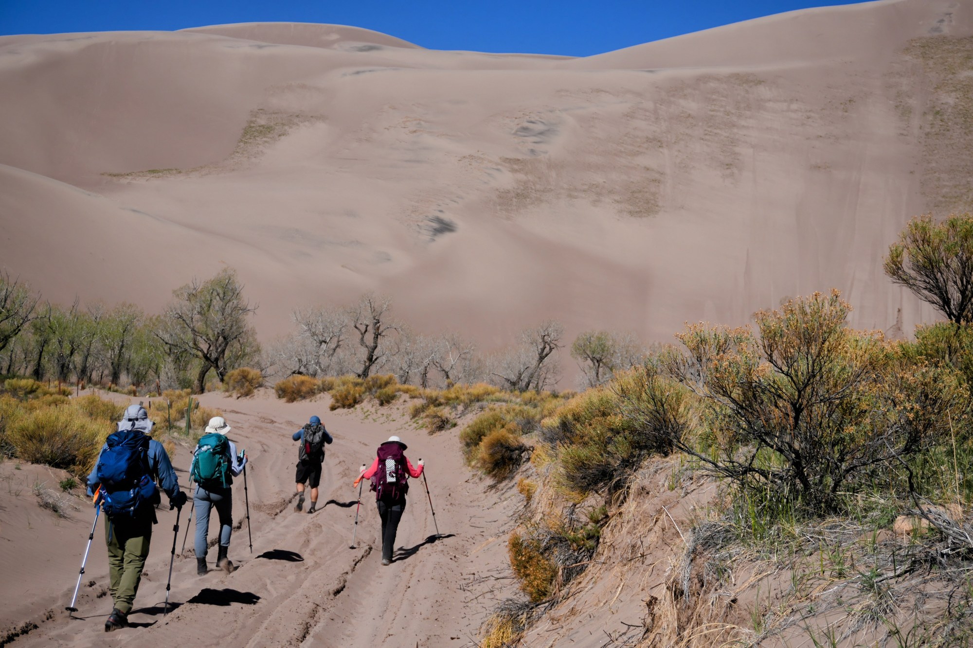 3-Day Great Sand Dunes Backcountry from Point of No Return TH — The ...