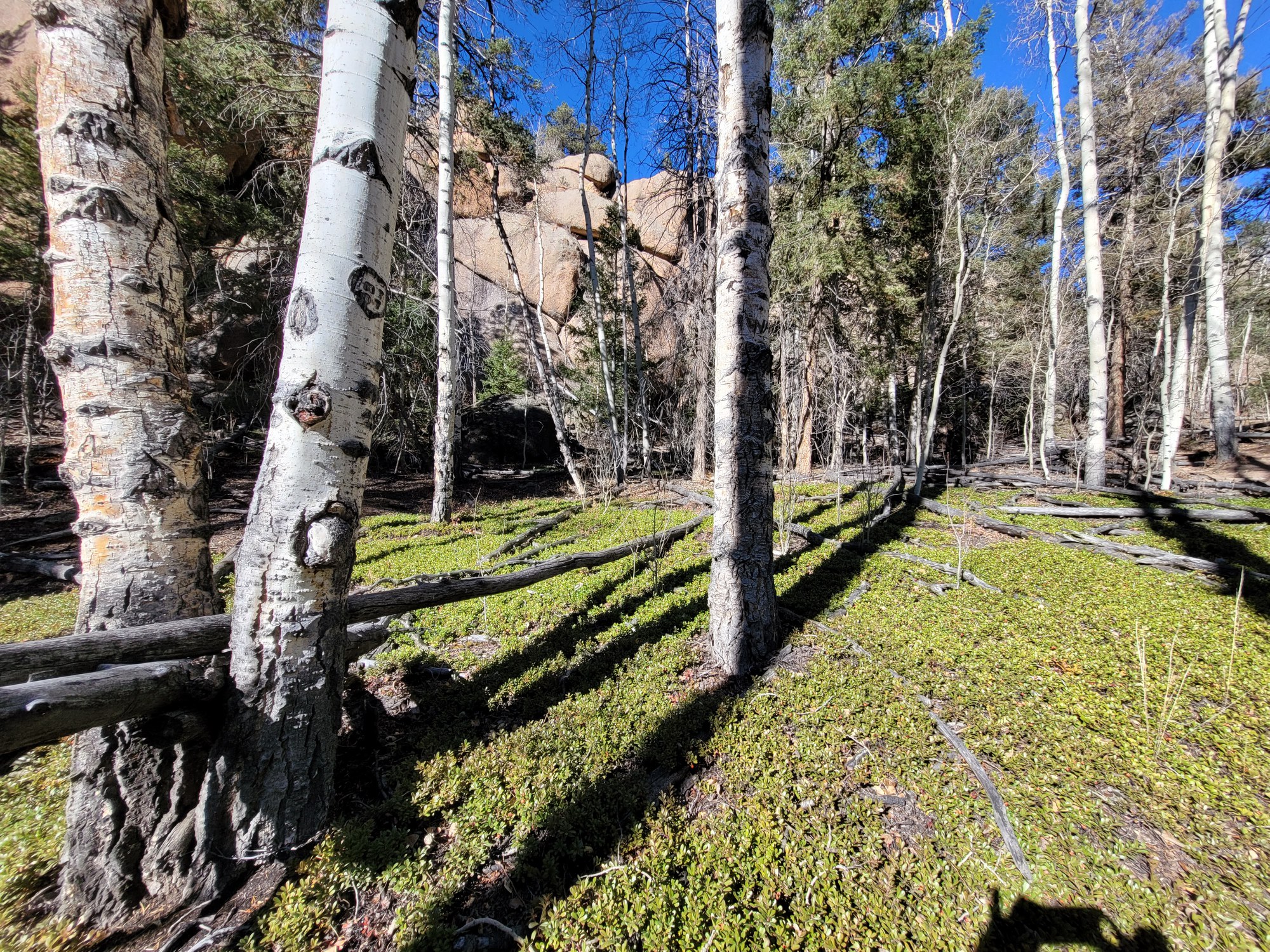Brookside-McCurdy Trail — The Colorado Mountain Club