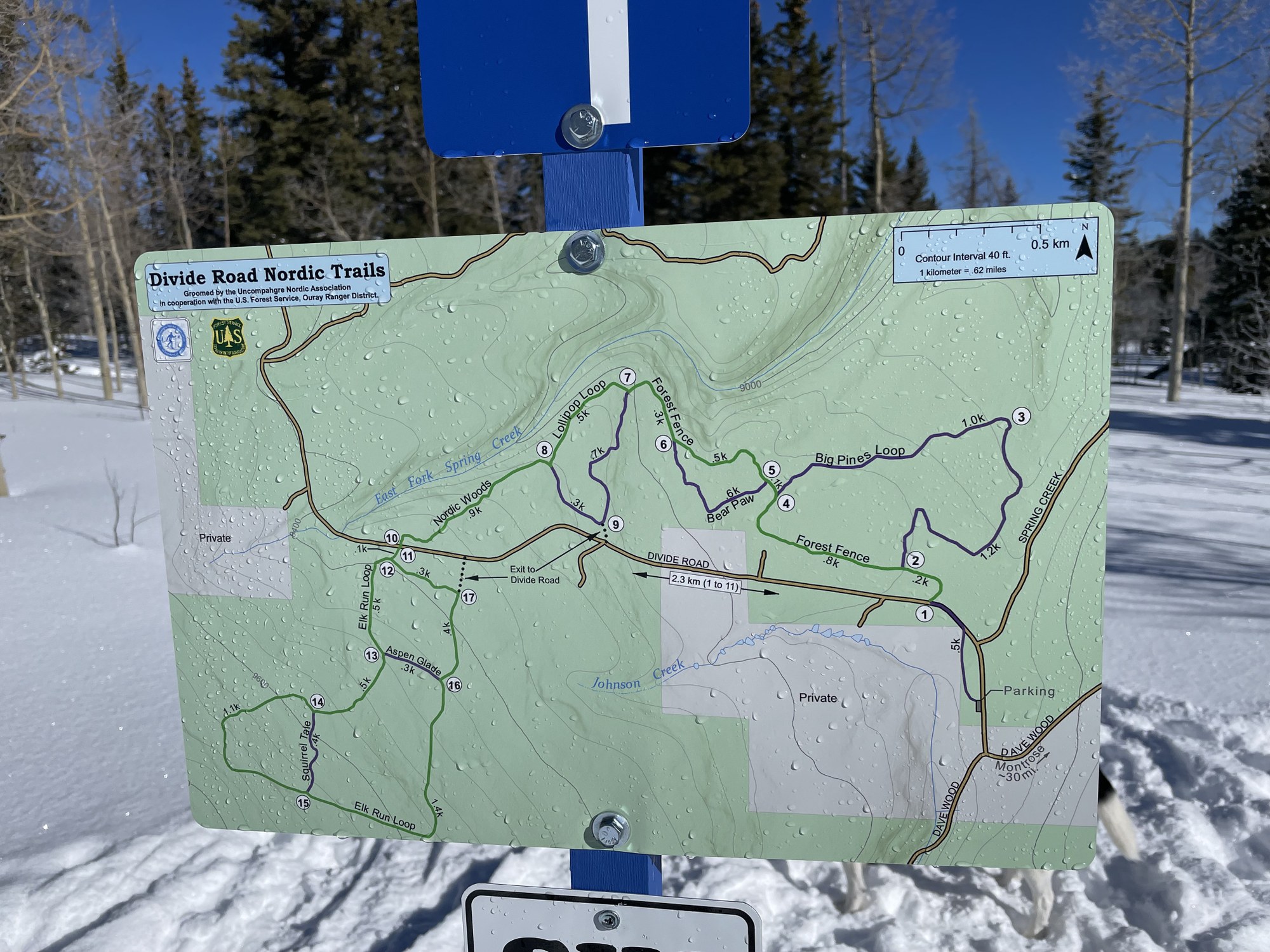 Divide Road Nordic Area — The Colorado Mountain Club
