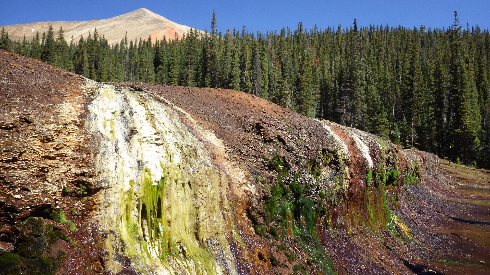 Geneva Creek Iron Fens — The Colorado Mountain Club