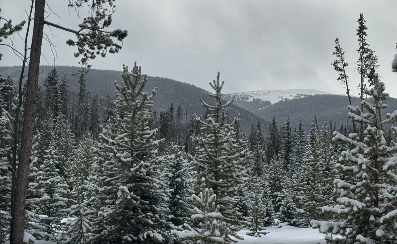 King Creek — The Colorado Mountain Club