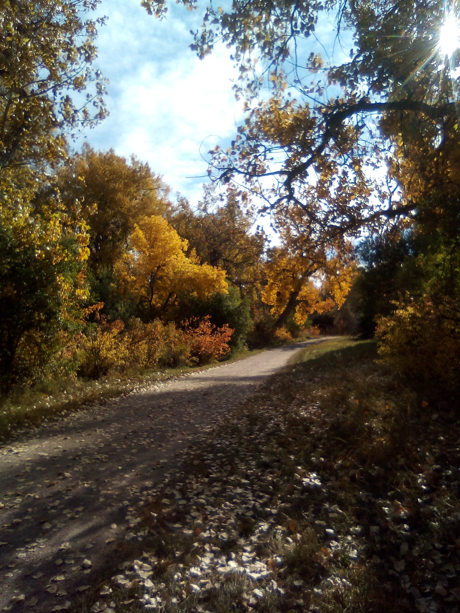 Lee Gulch Trail — The Colorado Mountain Club