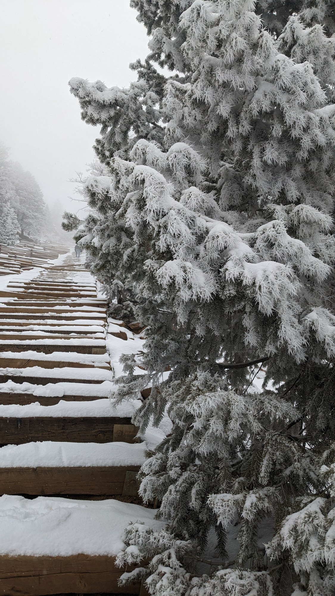 Manitou Incline — The Colorado Mountain Club