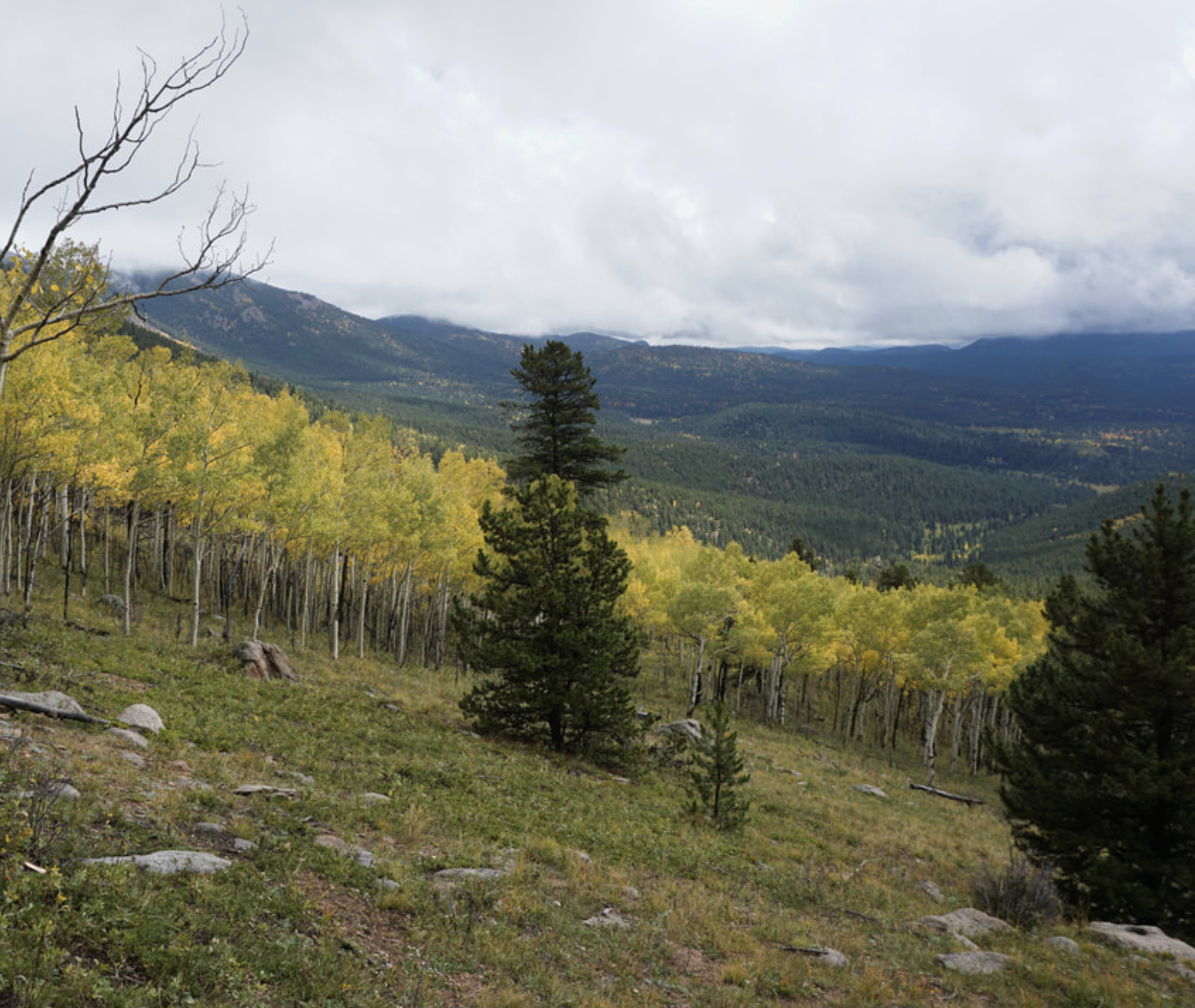 Meridian Trail — The Colorado Mountain Club