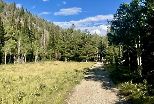 Middle St Vrain Trail — The Colorado Mountain Club