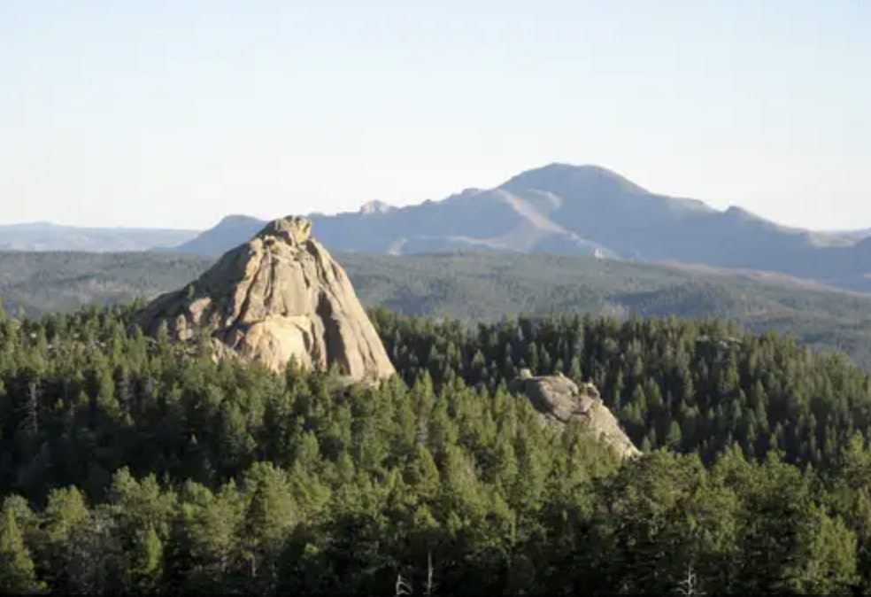 Noddle Heads — The Colorado Mountain Club