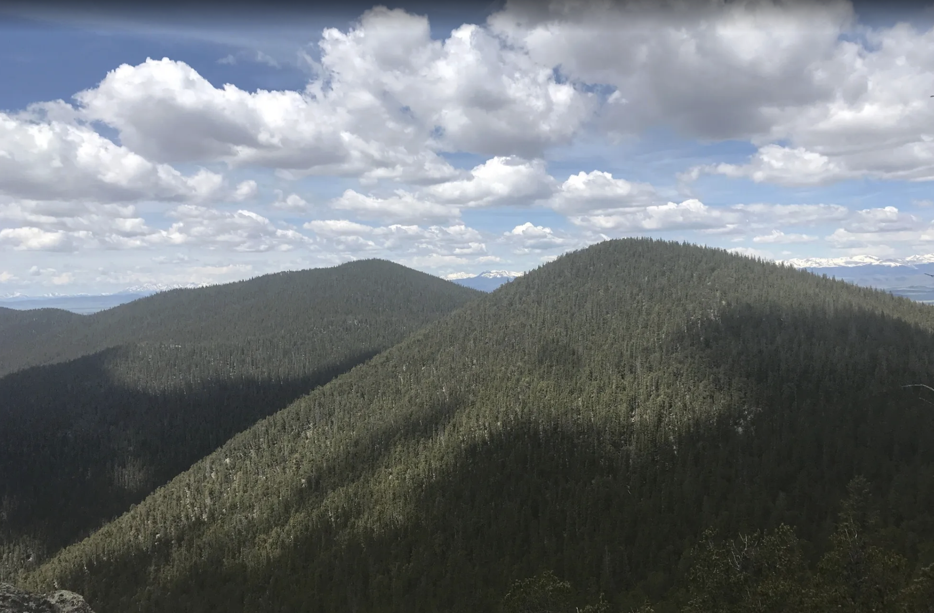 Puma Peak and Little Puma — The Colorado Mountain Club